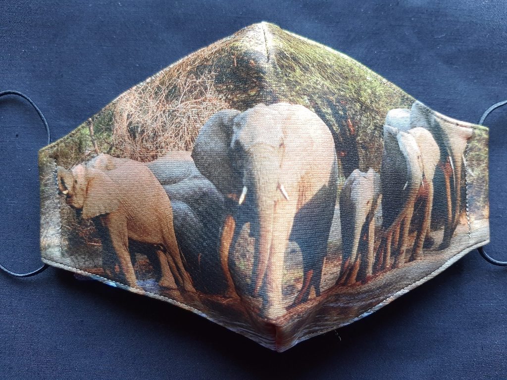 Lion Cubs Mask - Hobbitunity